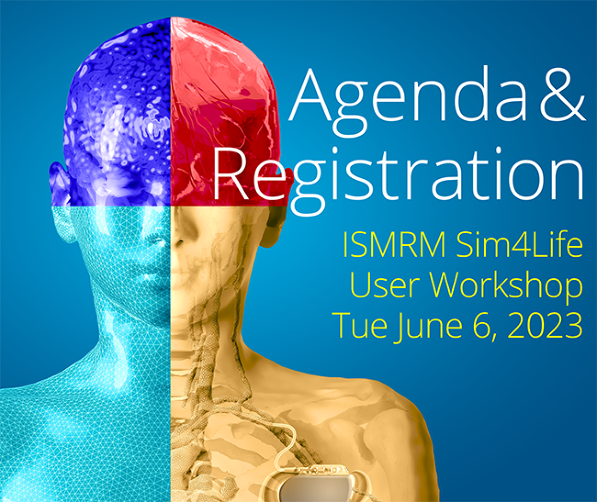 Agenda and Registration: ISMRM Sim4Life User Workshop 2023 » zurich med tech