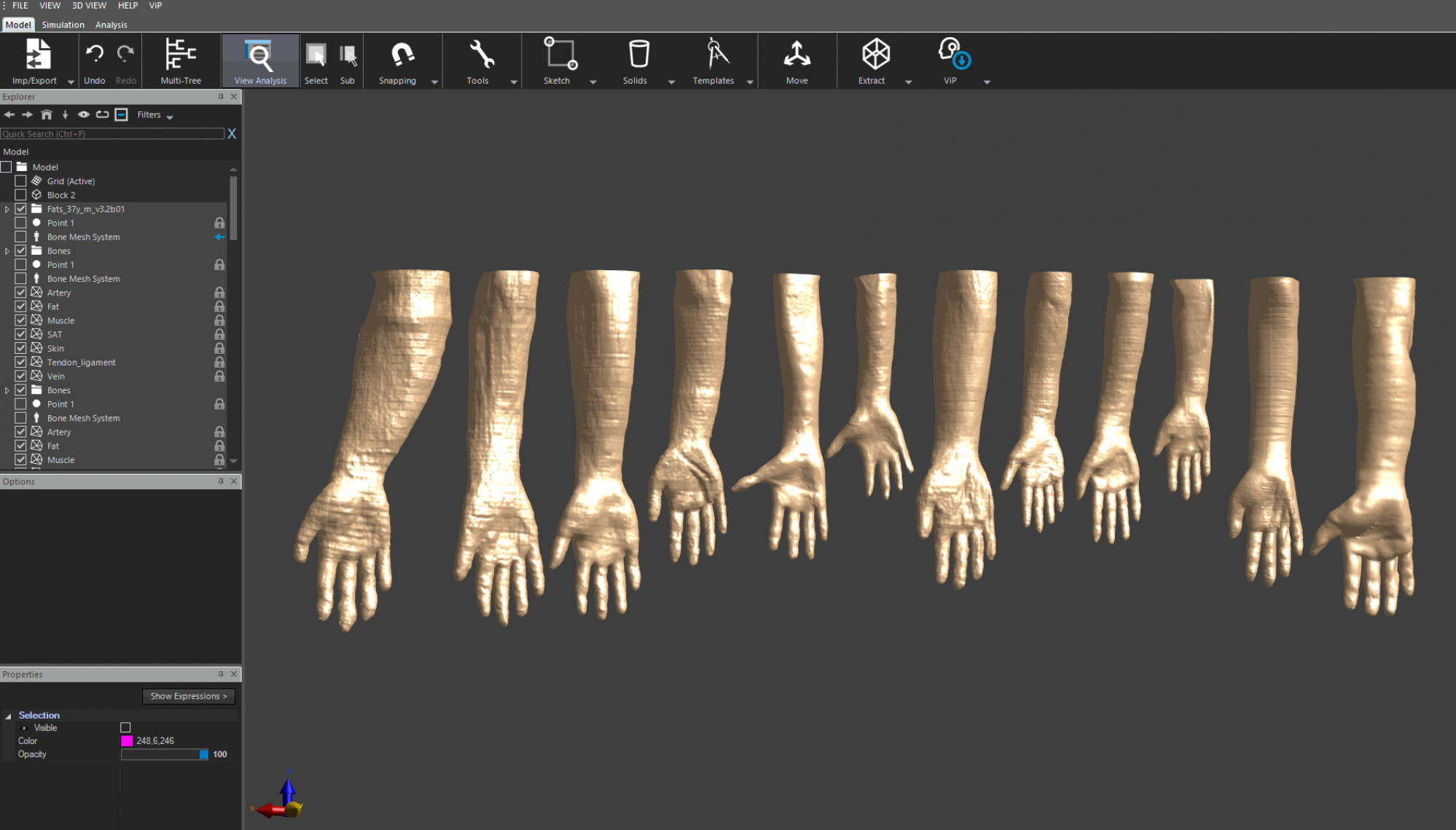 Sim4Life Release V6.0 » zurich med tech