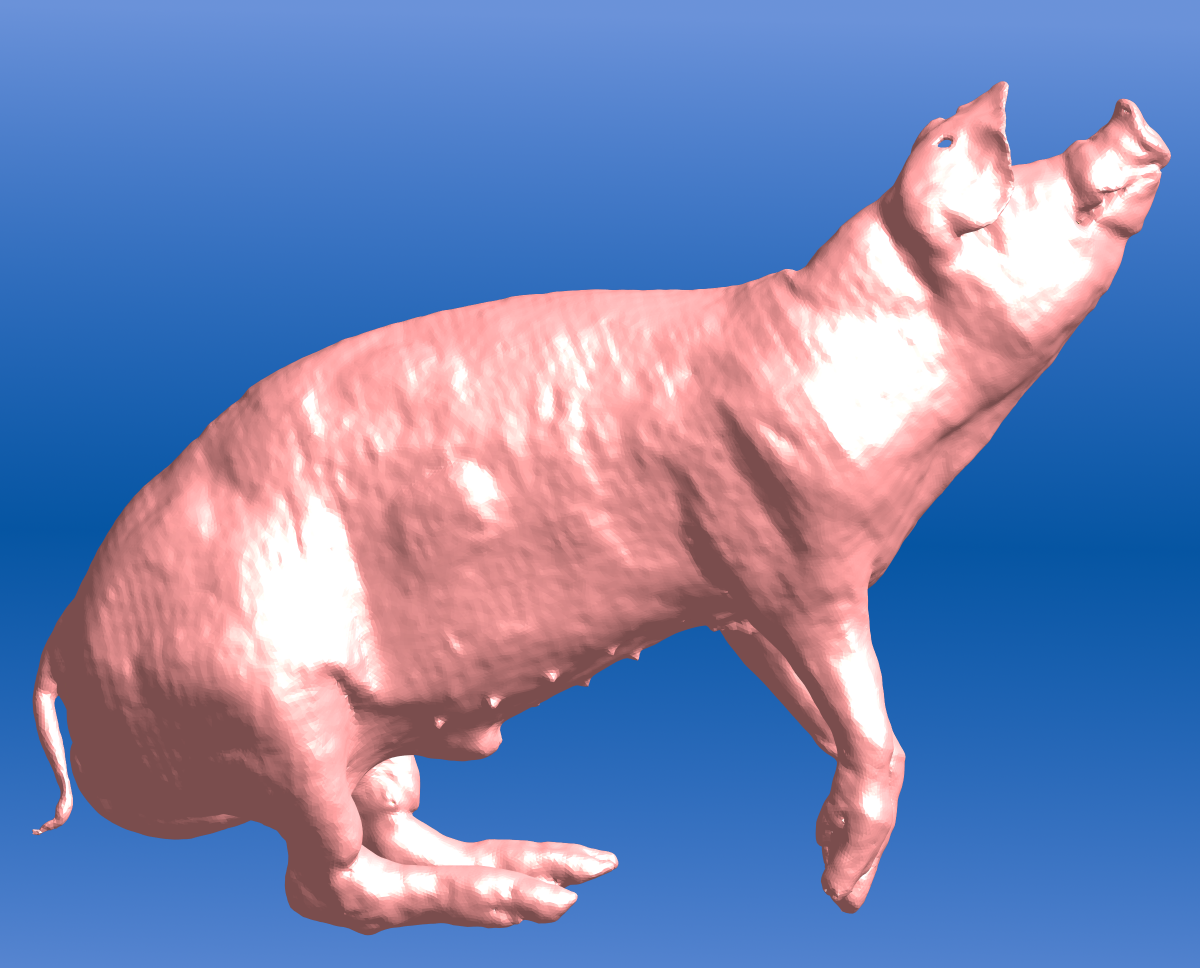 Posable Male Pig V1.1 Released by IT’IS » zurich med tech